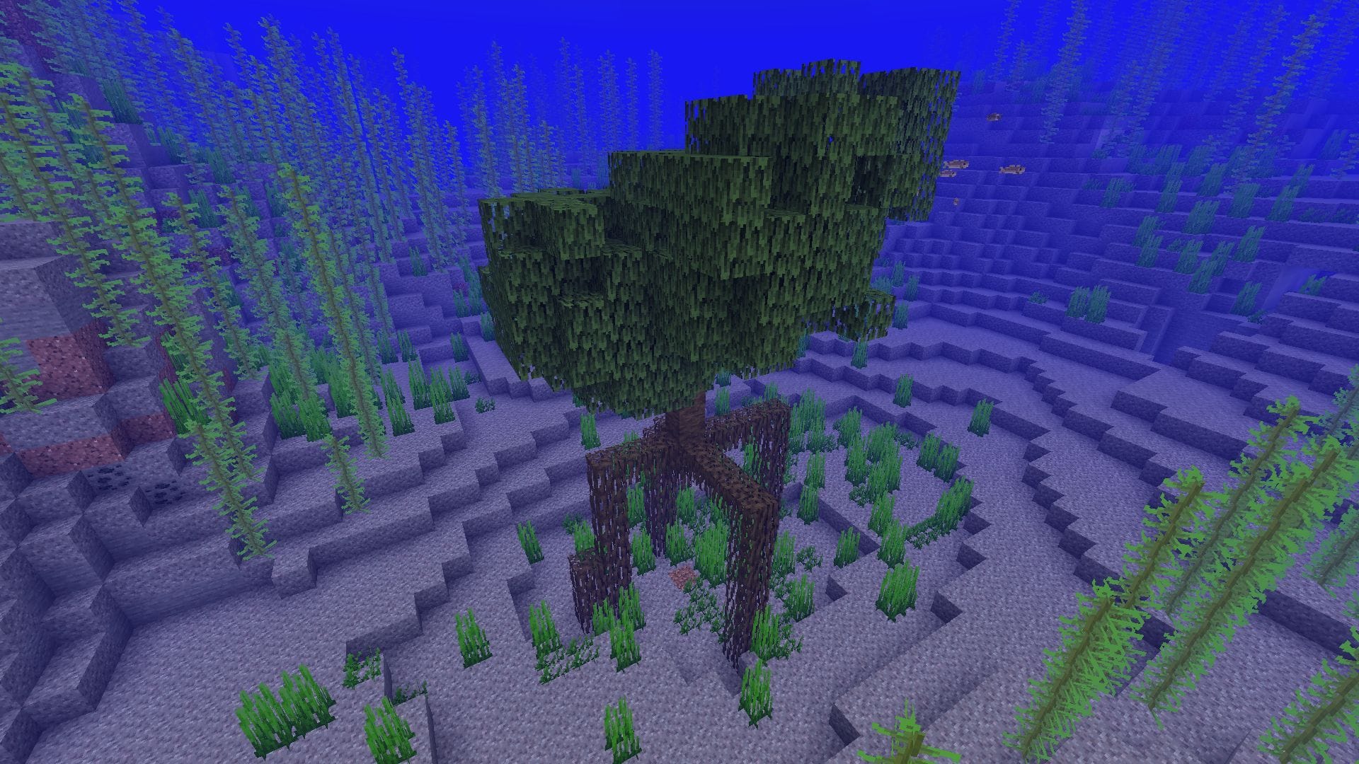 5 fun facts about Minecraft 1.19 update