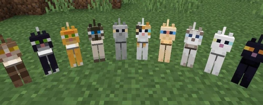 What do cats eat in Minecraft 1.19 update?