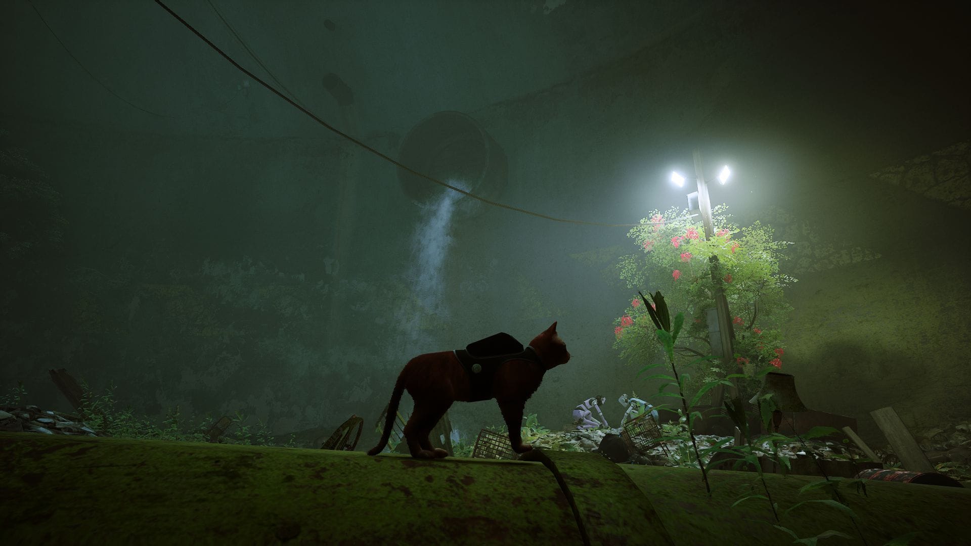 Stray: Where to find all the plants for Malo