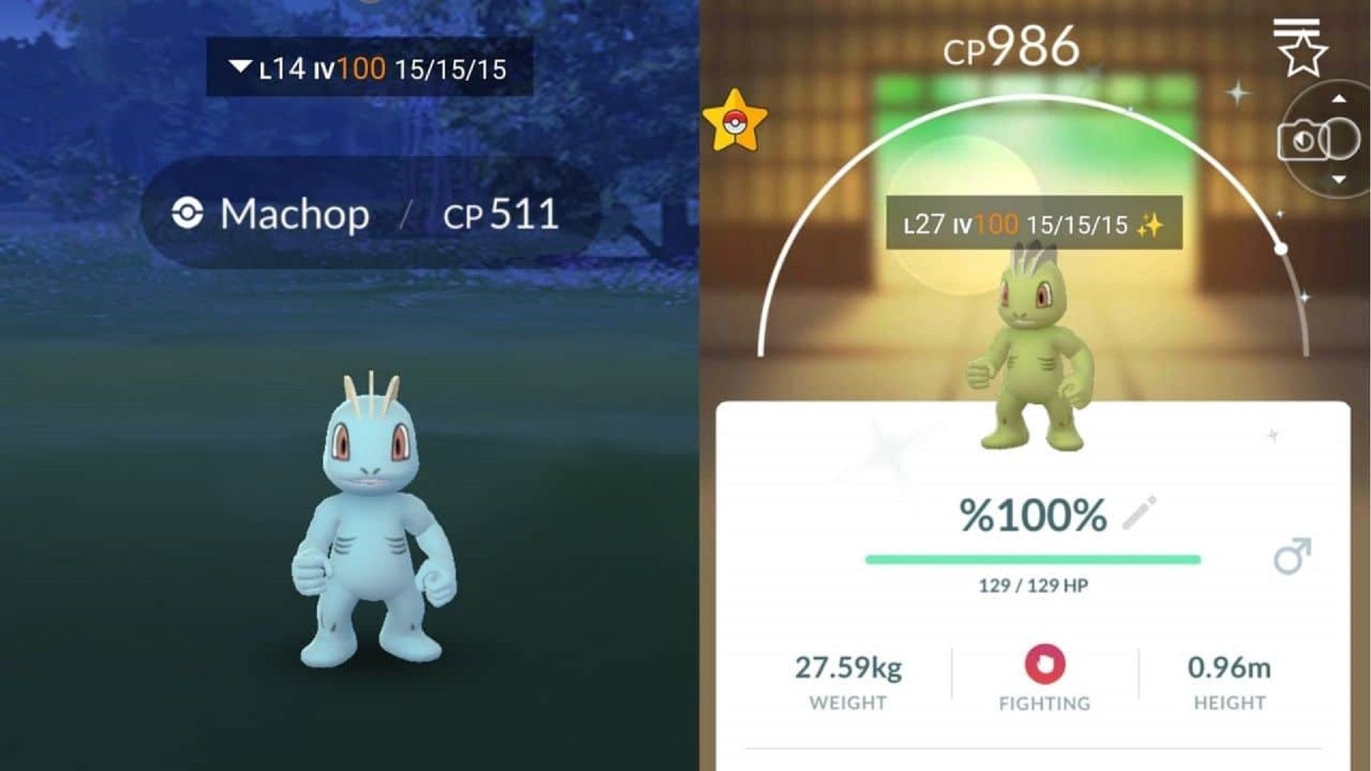 Can you catch Shiny Machop in Pokemon GO?