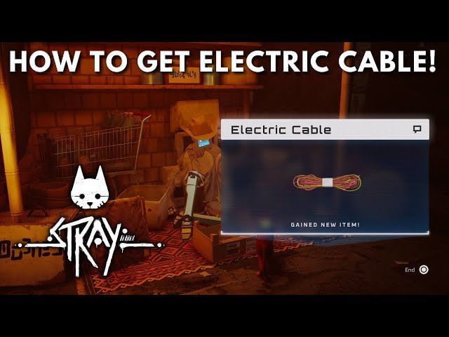 How to find Electrical Cable in Stray