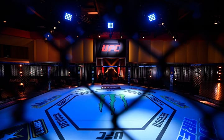 Who owns the UFC now?