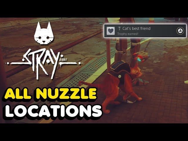 Stray Trophy guide: How to complete Cat’s Best Friend by nuzzling up ...