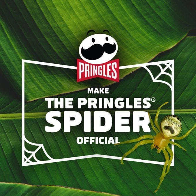 Pringles Spider: Chip company launches petition to have insect named ...