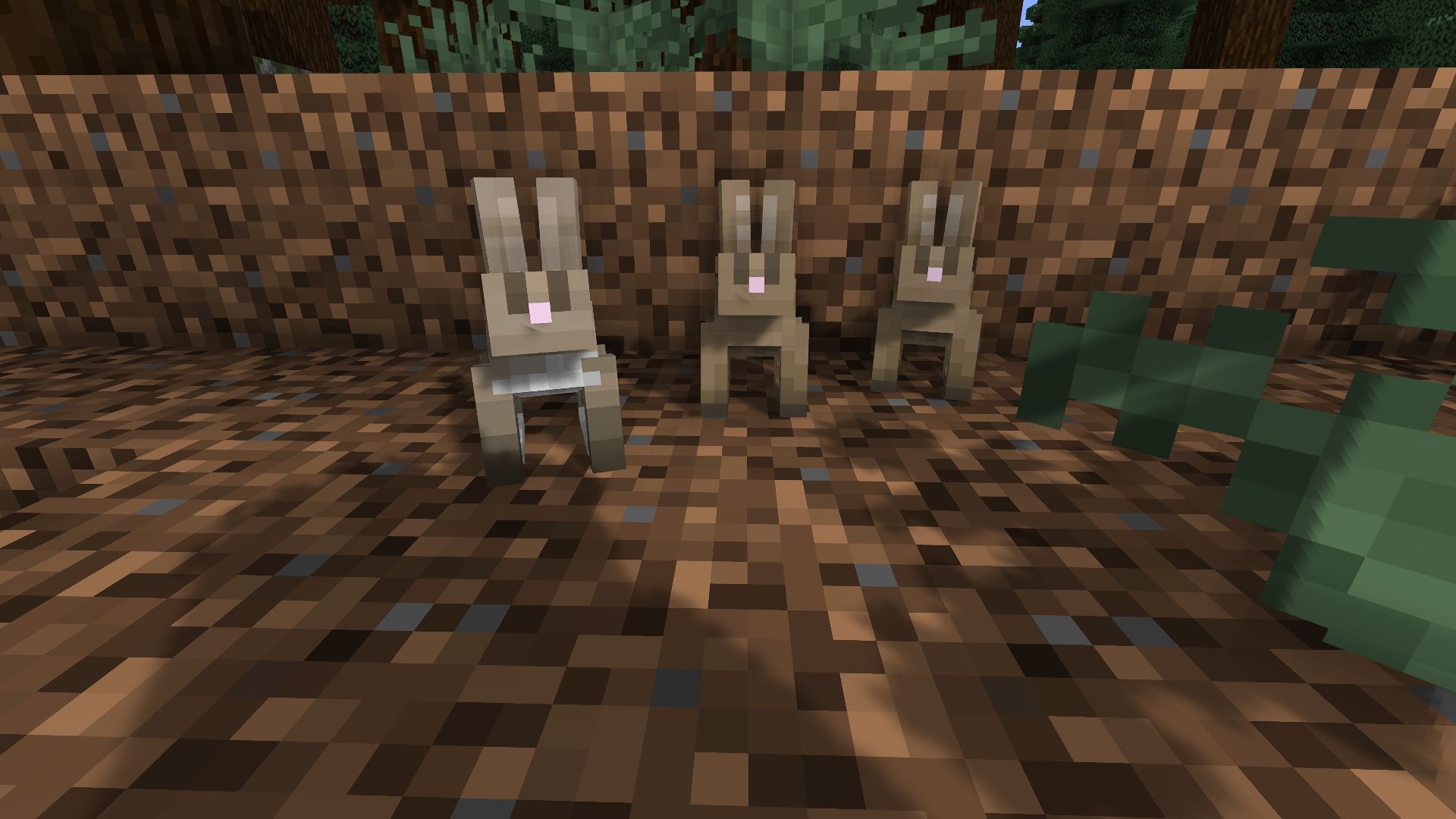 Minecraft 1.19 how to breed rabbits