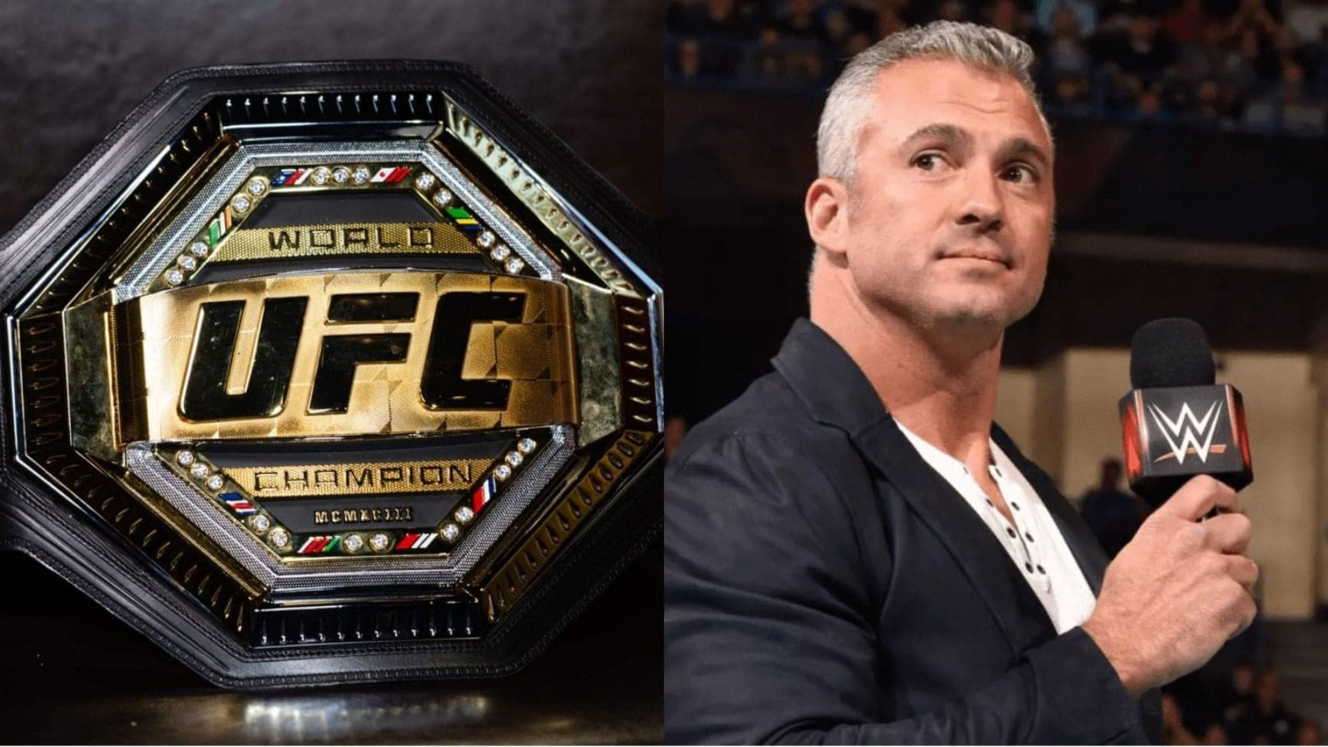 Shane McMahon asked Tito Ortiz to try out for WWE in 2019