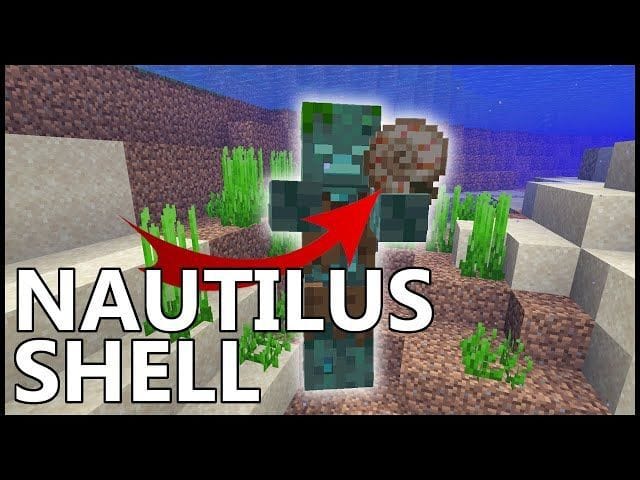 How to get Nautilus Shell in Minecraft 1.19 update?