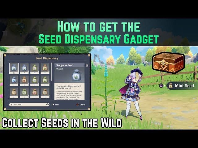 Collect Sumeru Rose Seeds In Genshin Impact Location And Quest Details