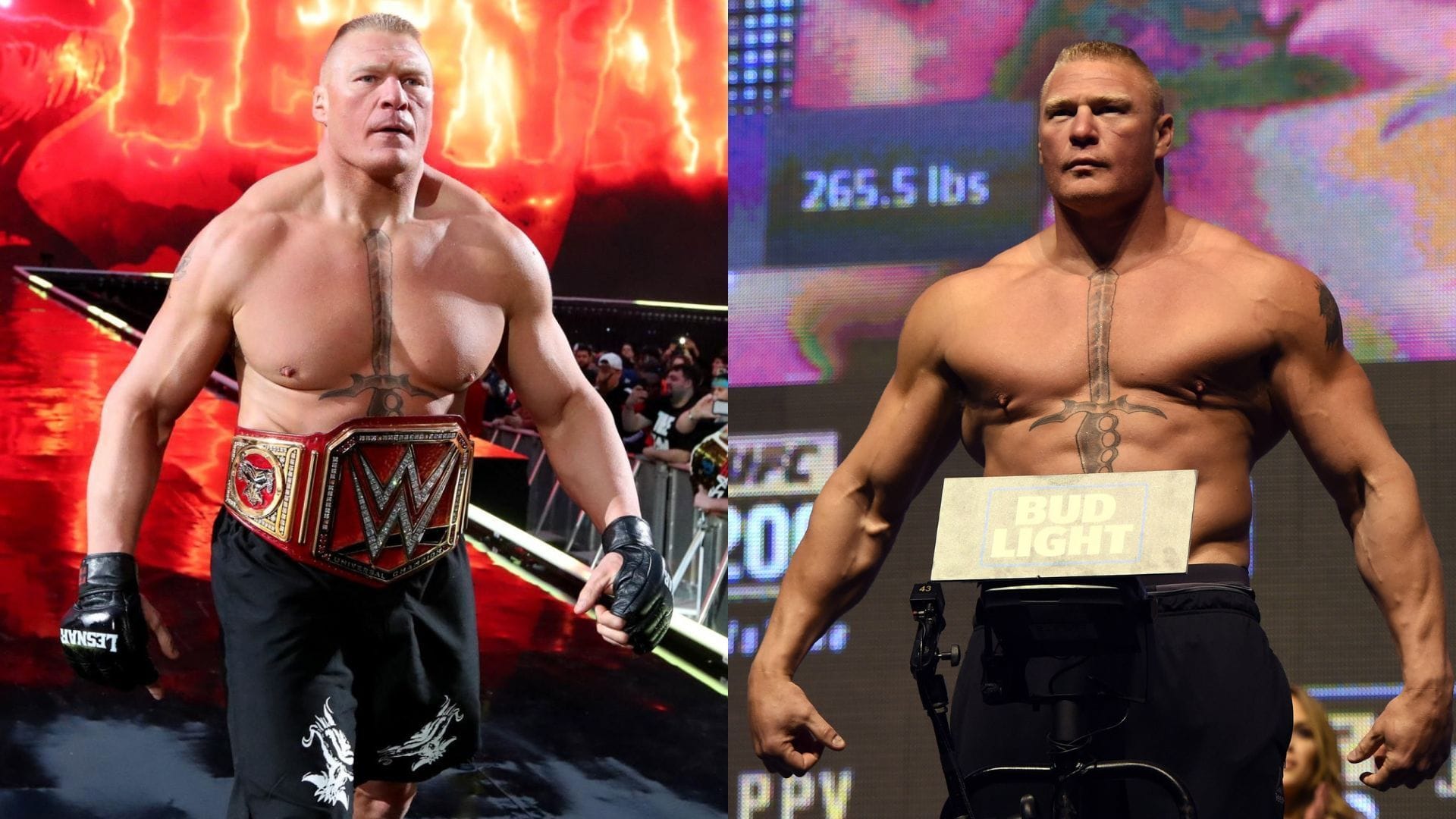 UFC Heavyweight fighter discloses if he knew Brock Lesnar was using ...