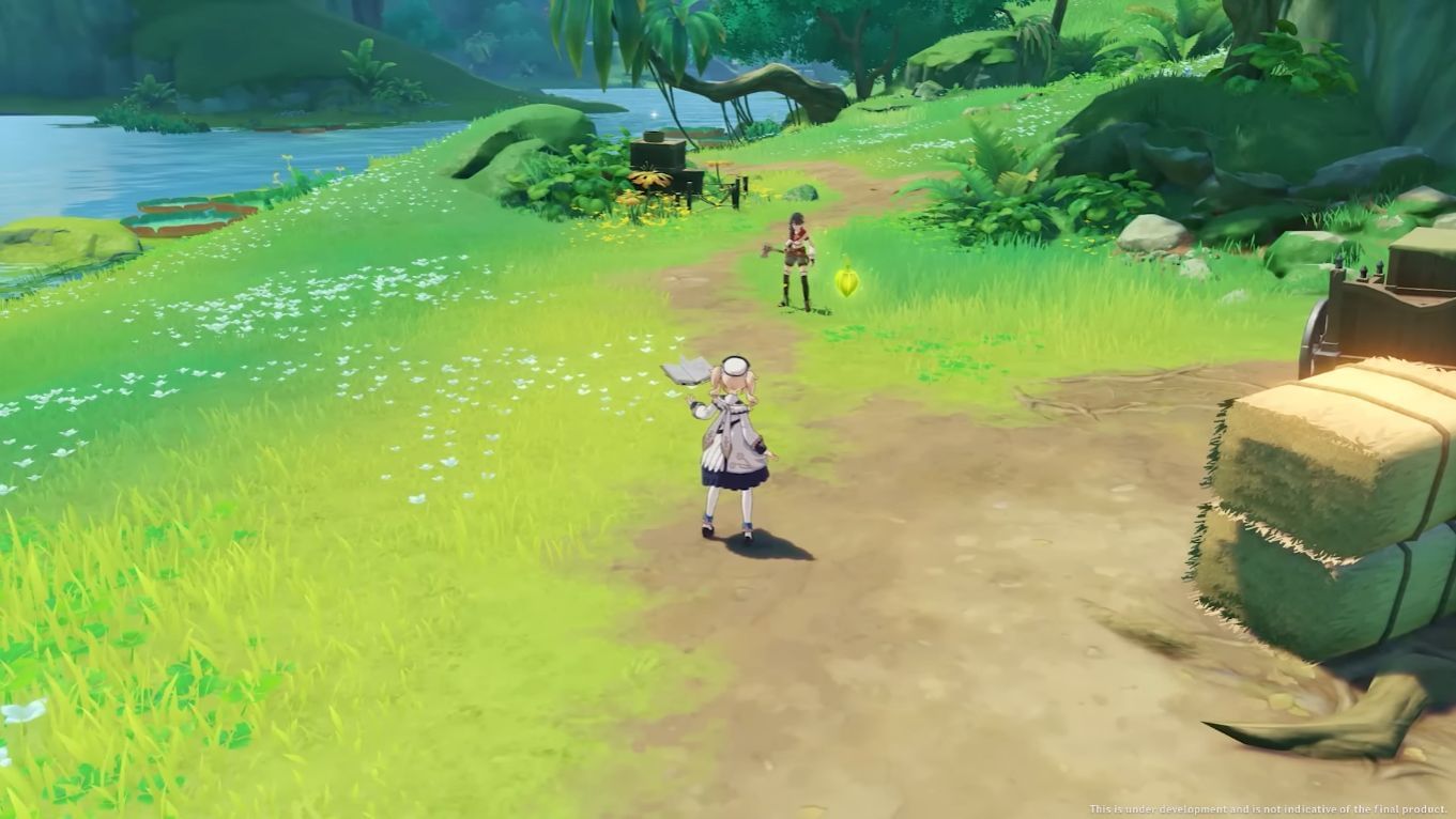 Genshin Impact Dendro element guide: Every reaction and effects