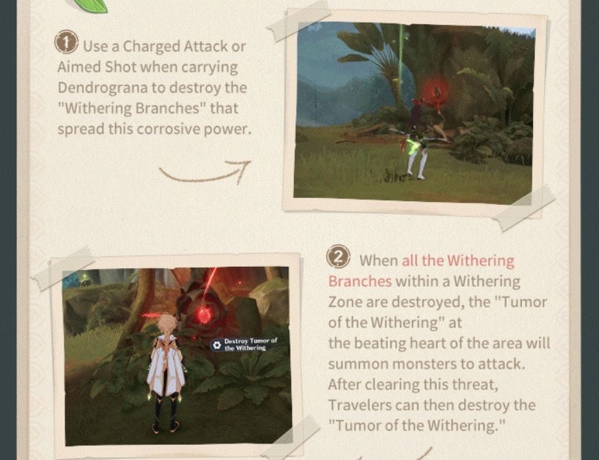 Genshin Impact Sumeru puzzles: Dendrograna, Withering Zones, and Stone ...
