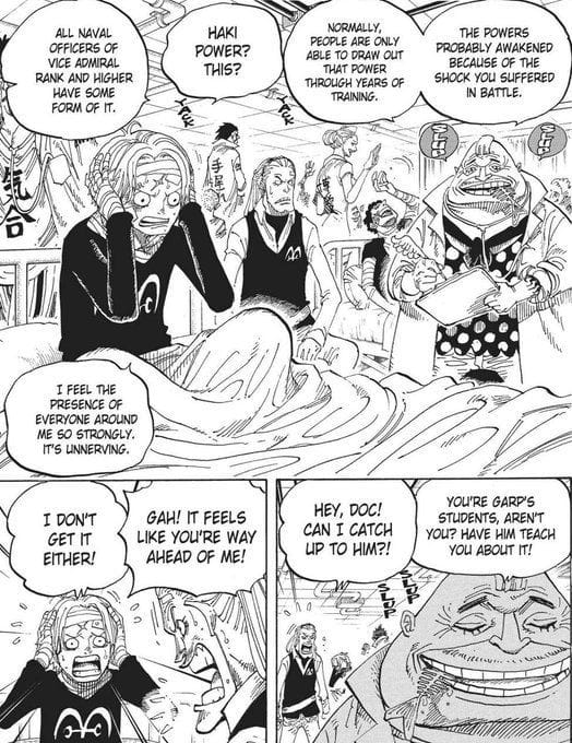 The SWORD group in One Piece, explained in detail