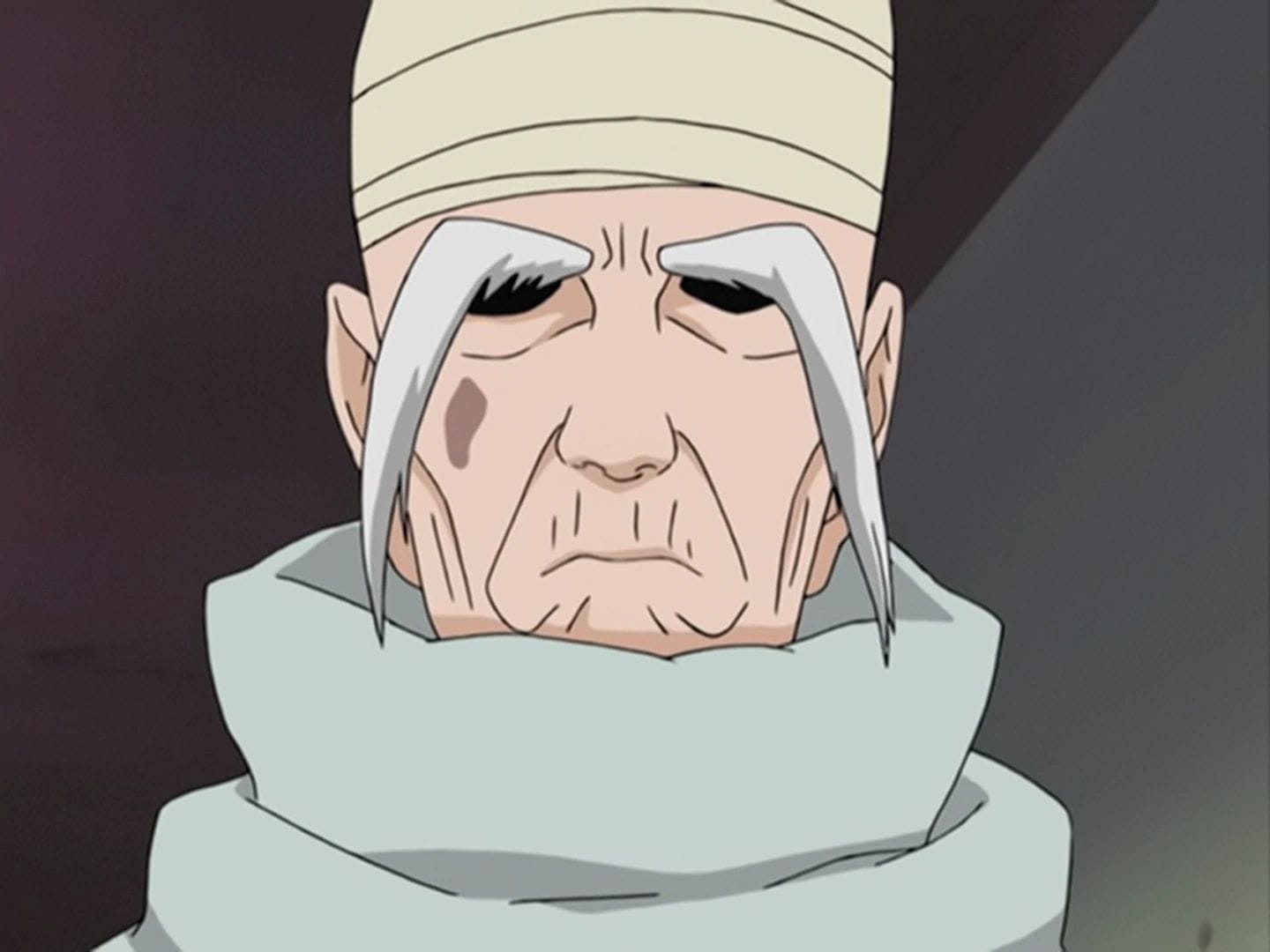 Who is Ebizo in Naruto?