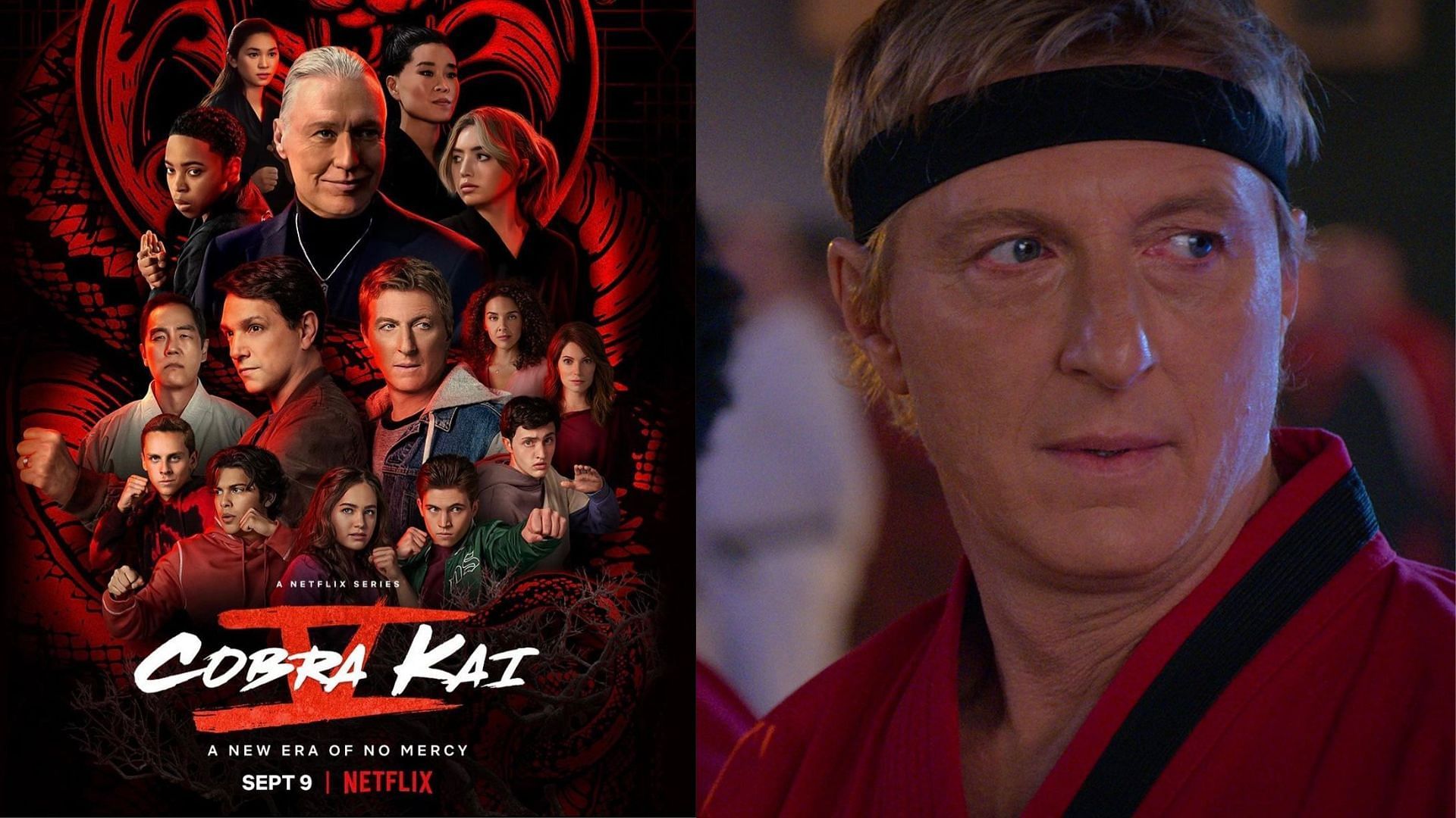 Cobra Kai Season 5 Who Is William Zabka Aka Johnny Lawrence And Where