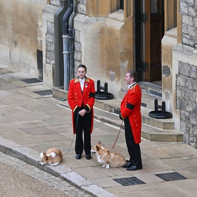 How many corgis has the Queen had in her lifetime? Image of last two ...