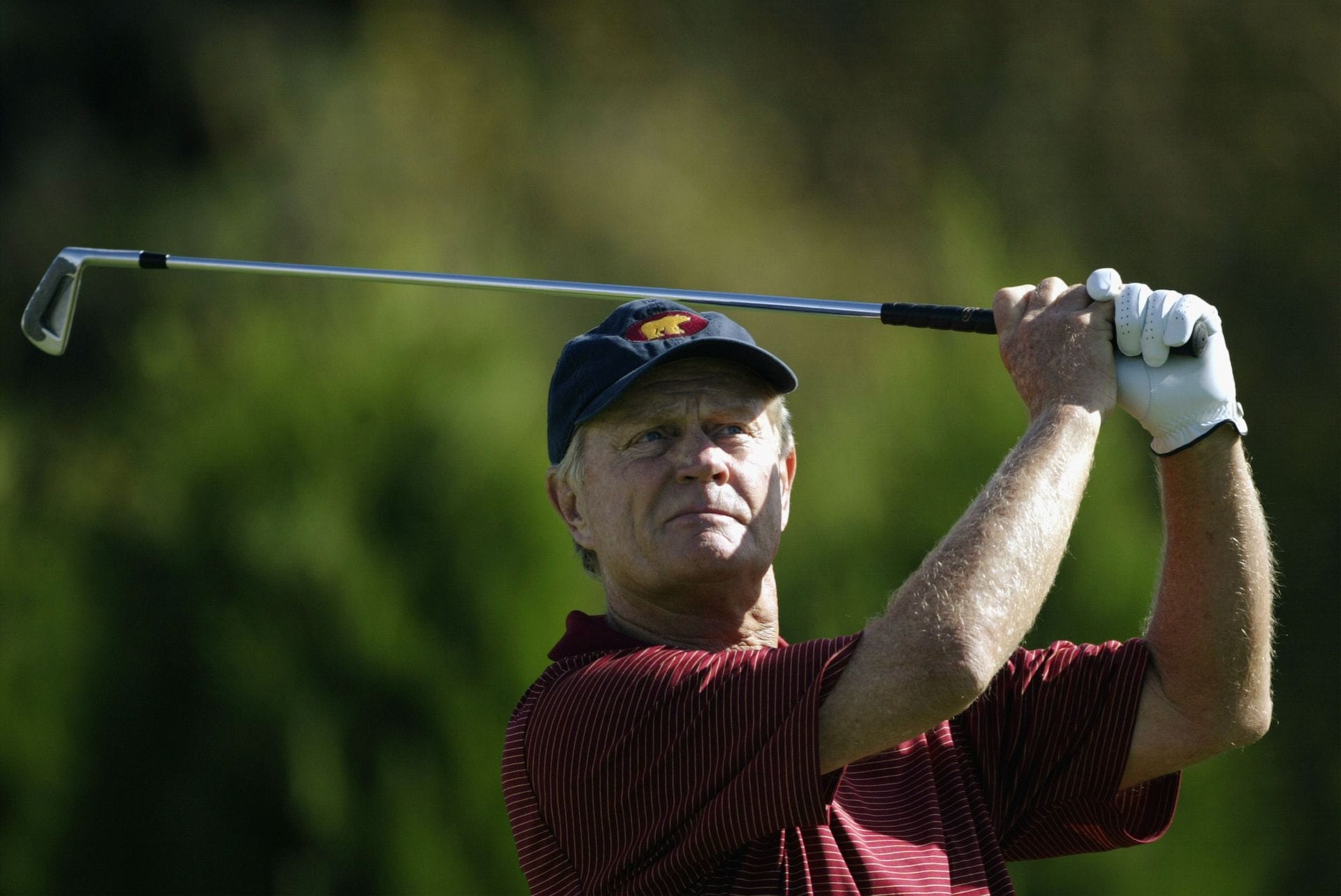 How tall is Tiger Woods compared to other popular golfers?