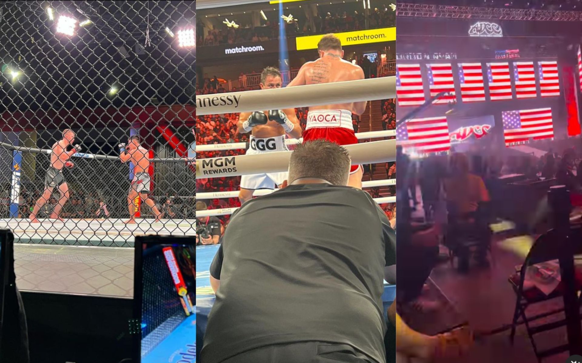 Joe Rogan completes historic combat sports night trio
