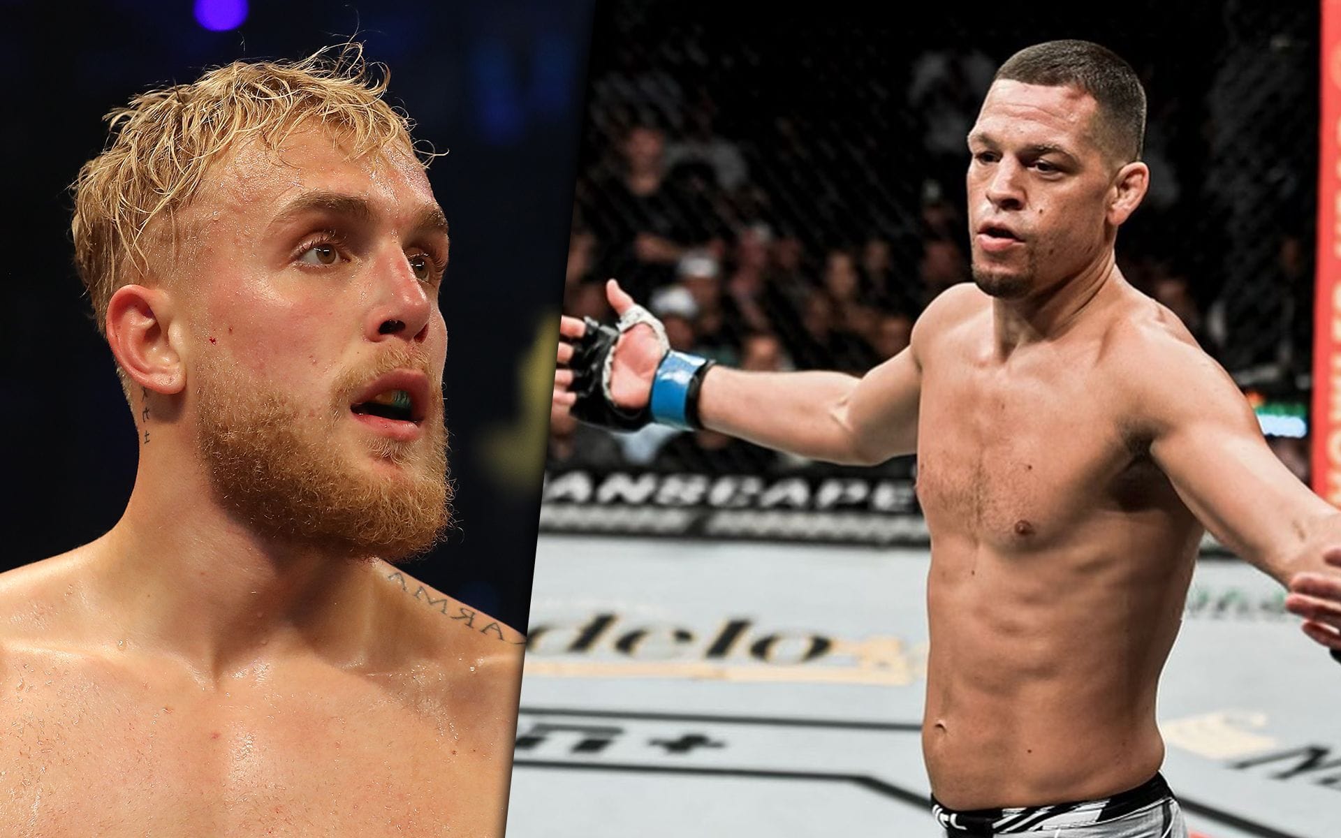 Jake Paul gets ridiculed by the fans for saying he'll "slap the ...