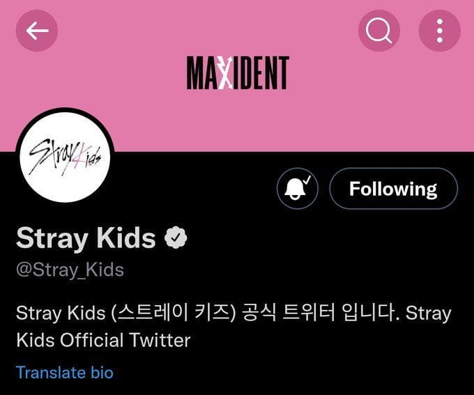 Fans can’t get over Stray Kids’ emo ‘pink’ concept in MAXIDENT comeback ...
