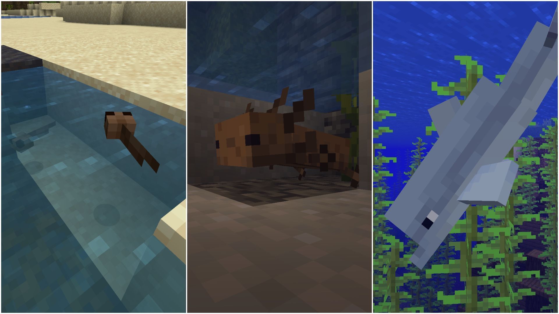 5 best Minecraft aquatic mobs in 2022