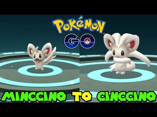 Pokemon GO Spotlight Hour: Can Minccino be shiny?