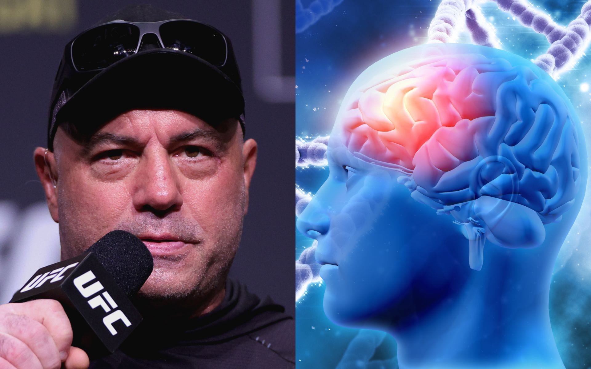 Joe Rogan discusses shocking Alzheimer's research fraud with JRE guest ...