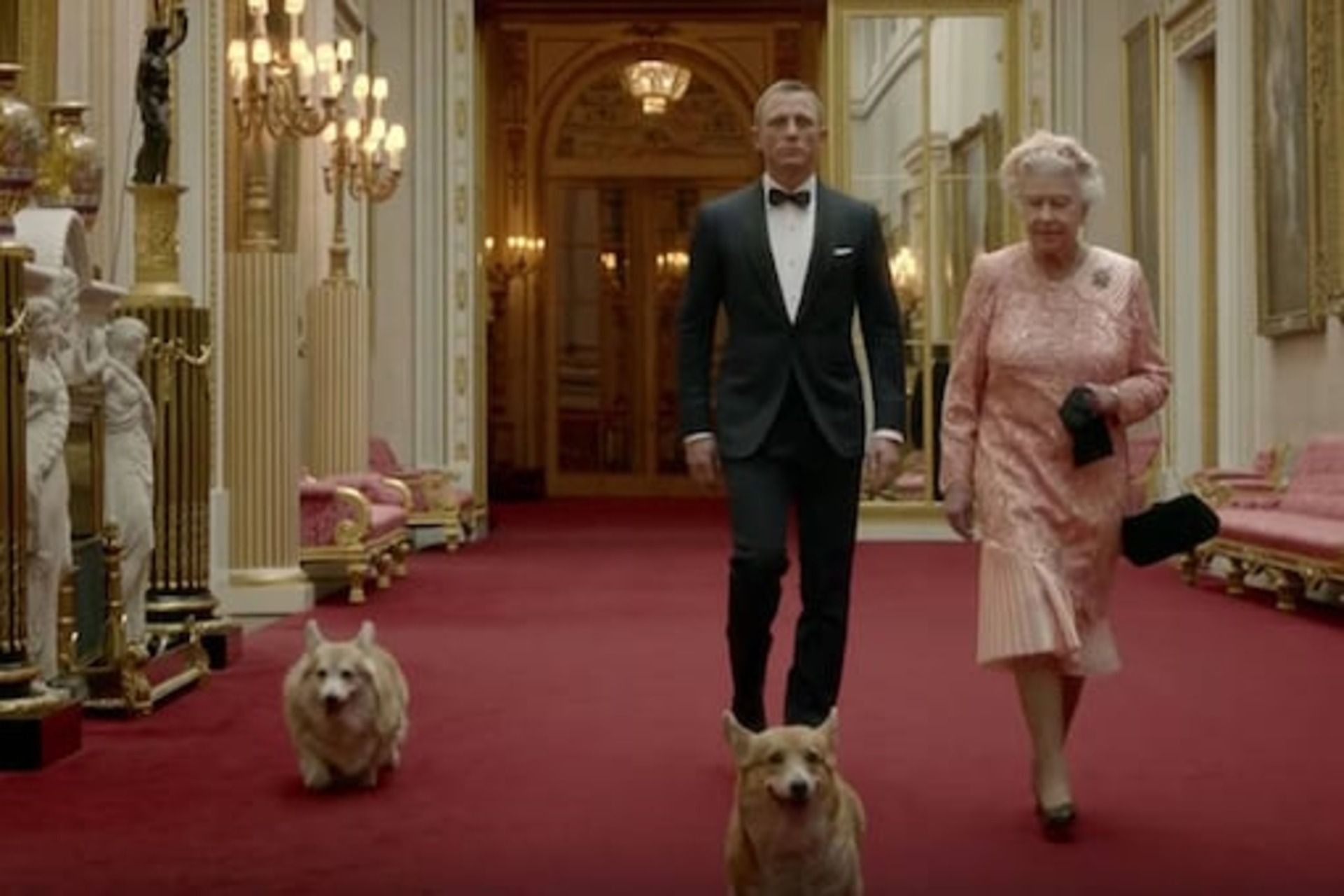 How many dogs did Queen Elizabeth II have? Everything to know about the ...