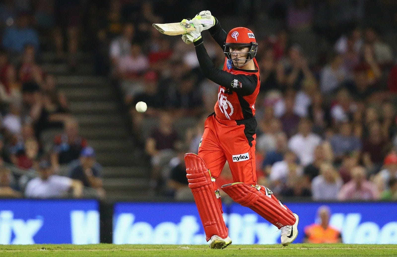 Mackenzie Harvey Career Profile - Age, Career Info, News, Stats ...