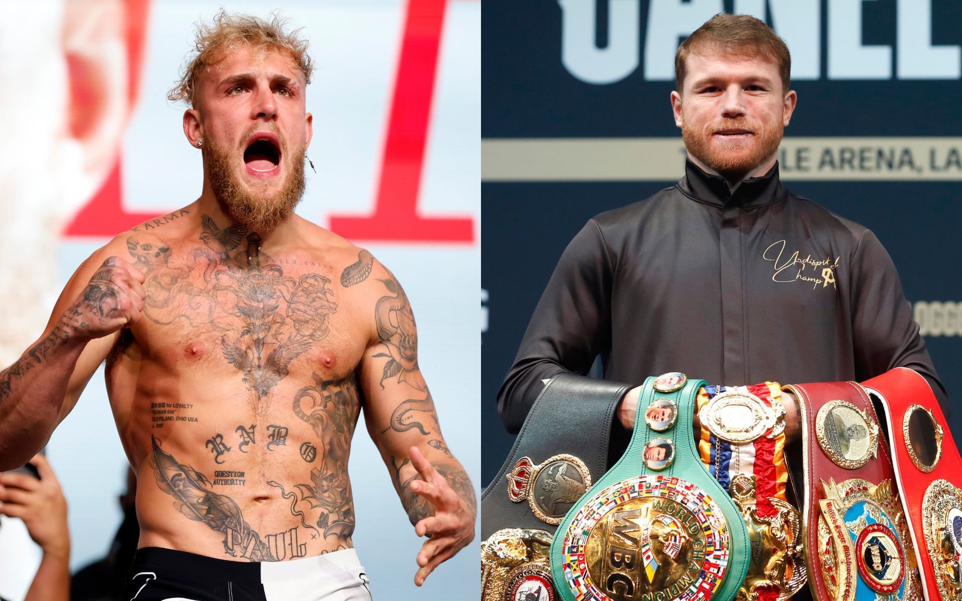 What did Canelo Alvarez say about a potential Jake Paul fight?