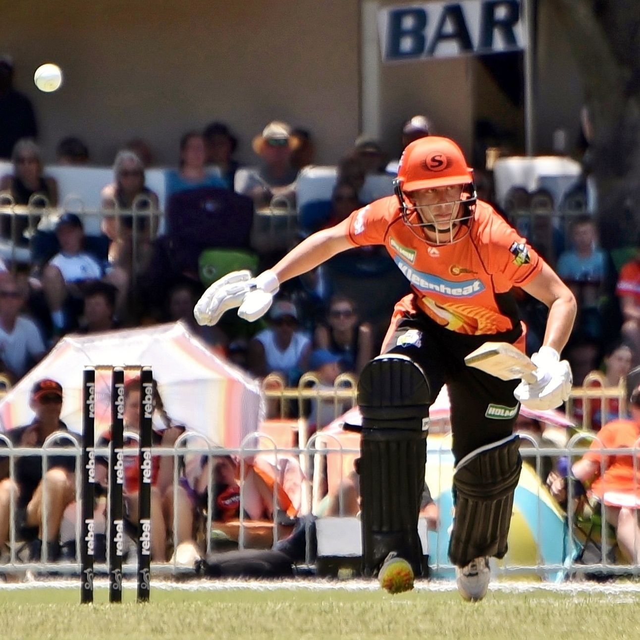 Mathilda Carmichael Career Profile - Age, Career Info, News, Stats ...