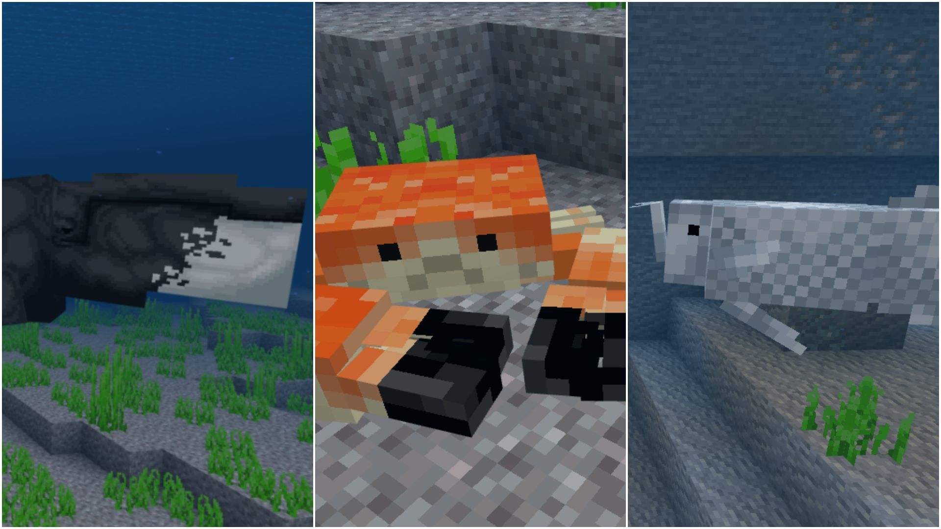 Minecraft Redditor creates mod to add more aquatic mobs
