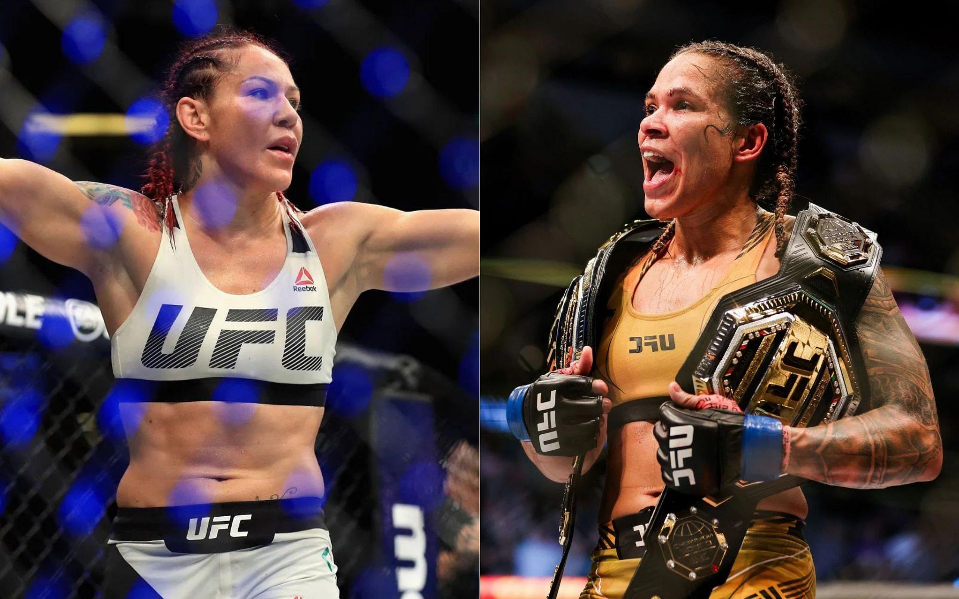 "She has more losses than me, she didn't stay 14 years undefeated ...