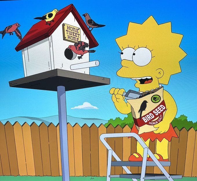 "Buy all comedy clubs and fire Brendan Schaub" - Paulo Costa goes on a ...