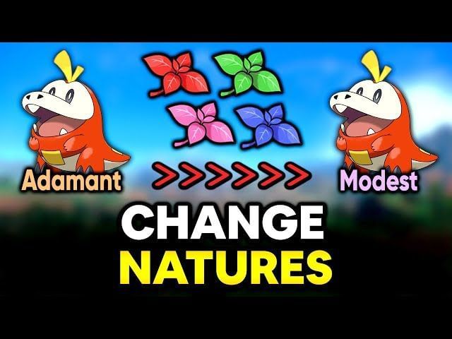 Pokemon Scarlet and Violet: Where to find mints and how to use them