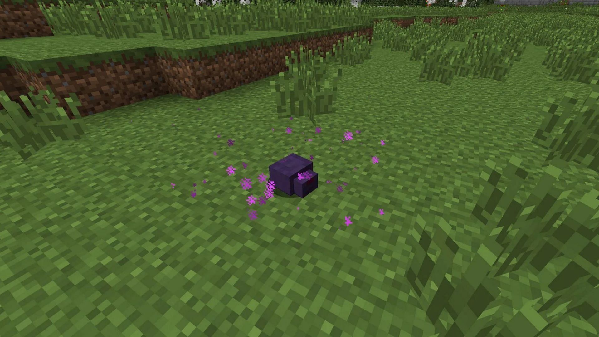 How To Spawn And Use Endermite In Minecraft