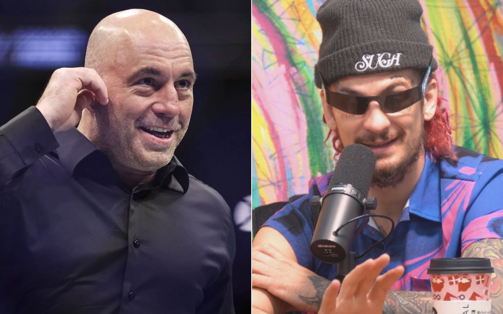Joe Rogan's conversational style led Sean O'Malley to talk about things ...