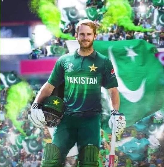 T20 World Cup 2022: Top 10 Kane Williamson memes after his sedate knock ...