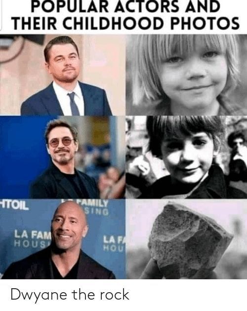 20 Funniest Memes of The Rock