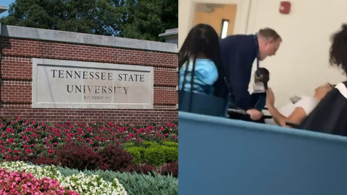 "Nobody has knocked him out yet?": TSU Professor fired after video of ...