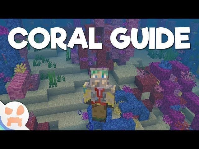 How to keep coral blocks alive in Minecraft - Sportskeeda - moKoKil