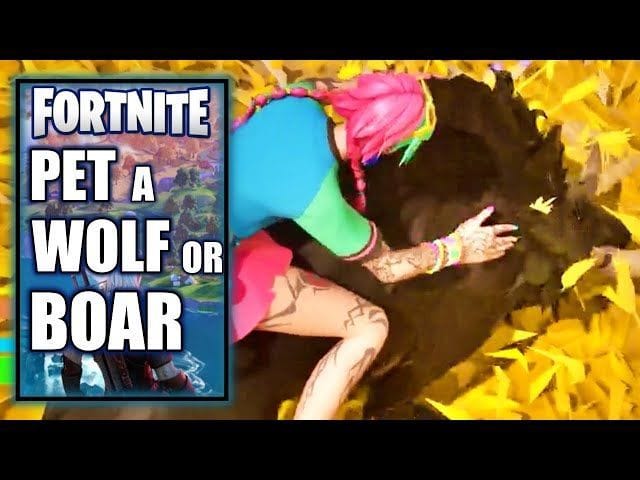 How to pet a wolf in Fortnite Chapter 4 Season 1