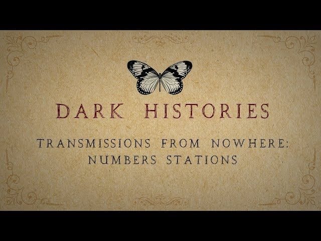 What is the 1444 video? Disturbing footage sparks interest online