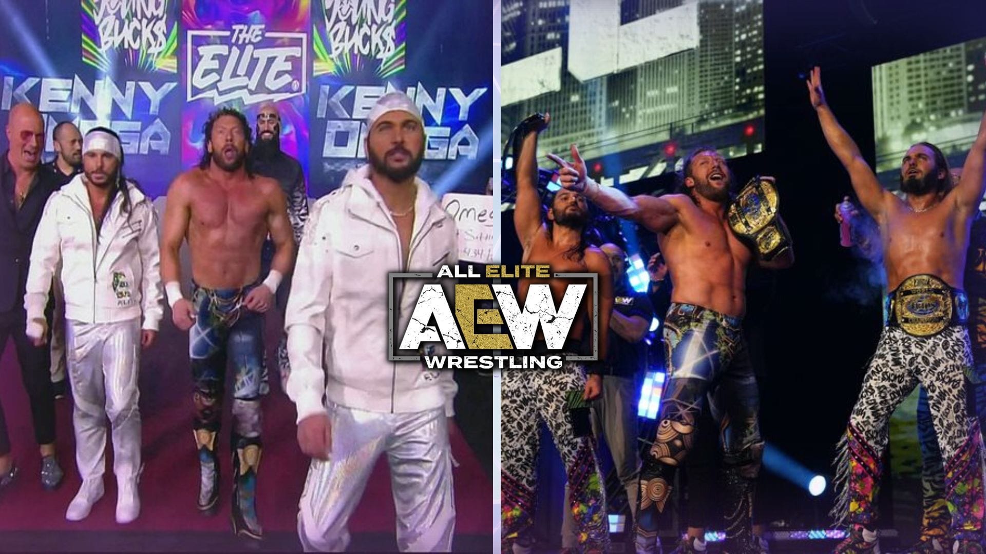 "Took it to the extreme" - WWE veteran shares his thoughts on The Elite ...