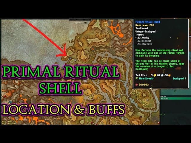 How to use Primal Ritual Shell in World of Warcraft: Dragonflight