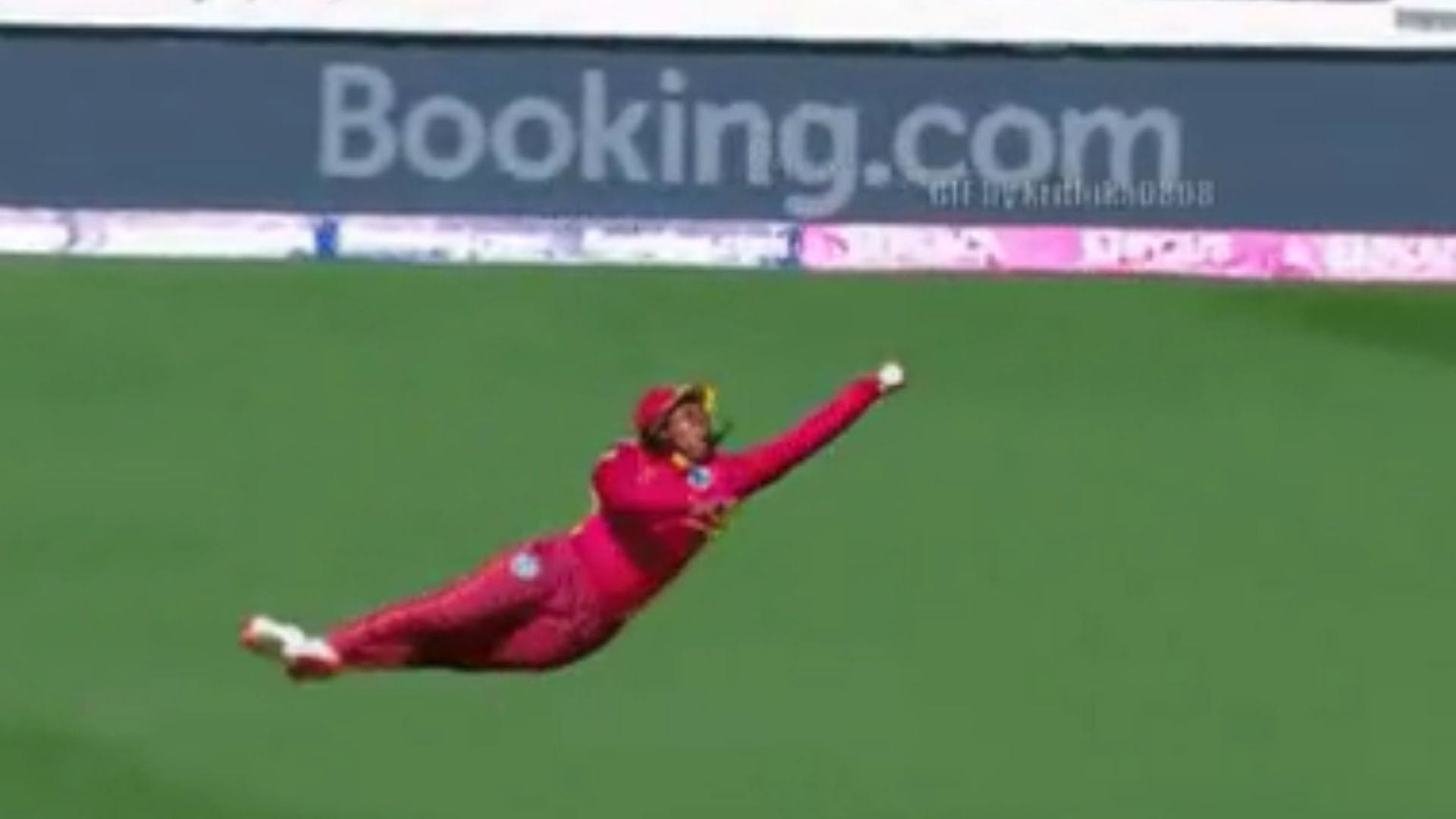 Top 5 spectacular catches in international cricket in 2022