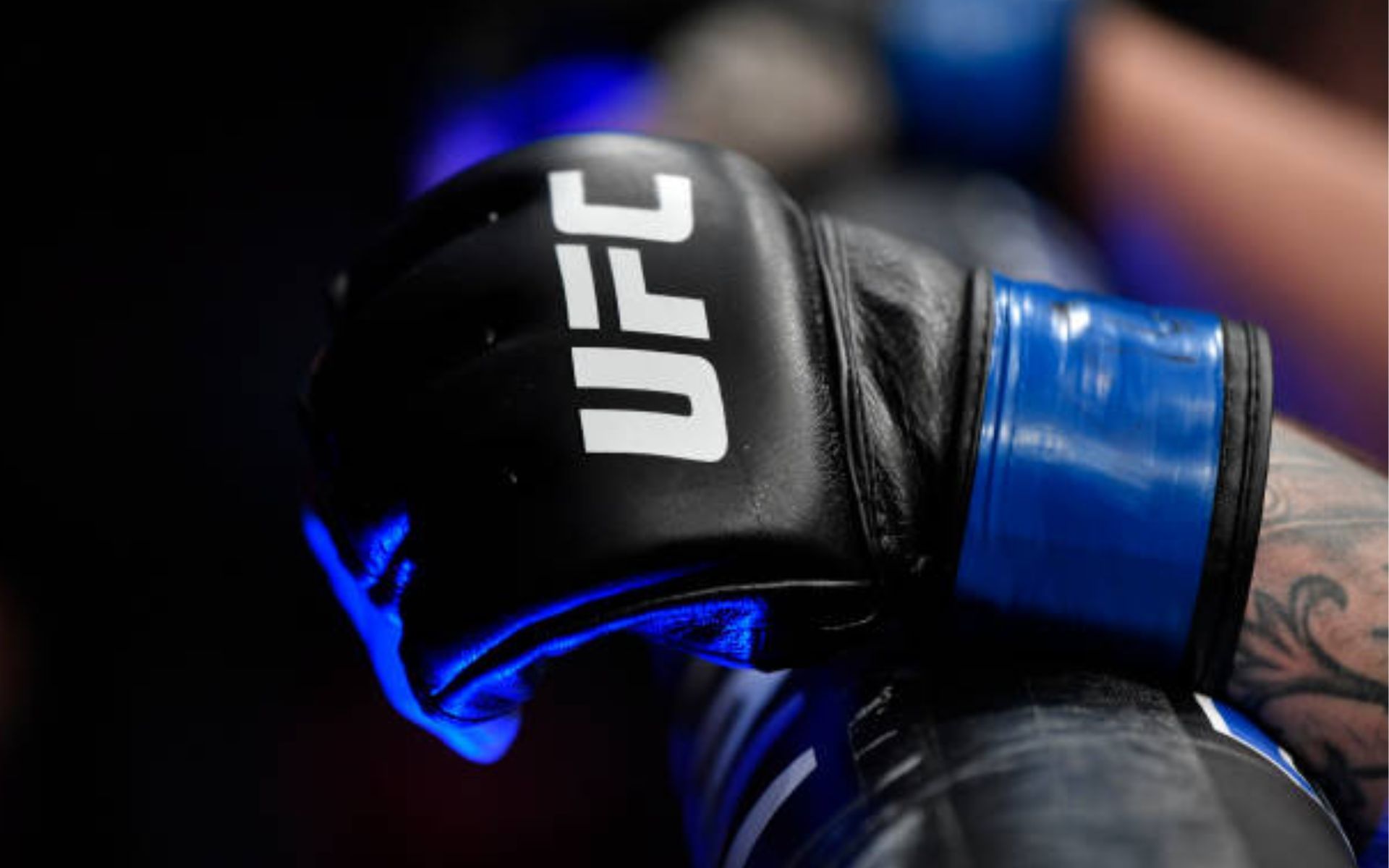 UFC Fight Night 217: Fighter gives a hilarious reason for competing at ...