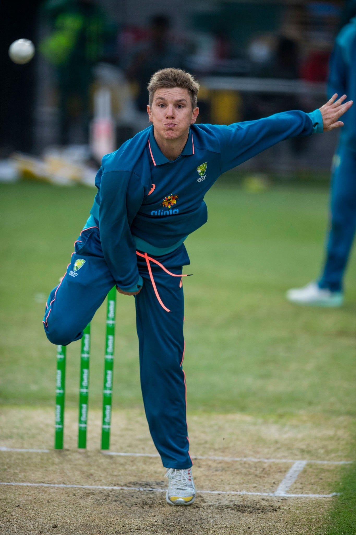 Adam Zampa Career Profile - Age, Career Info, News, Stats & Videos 2023