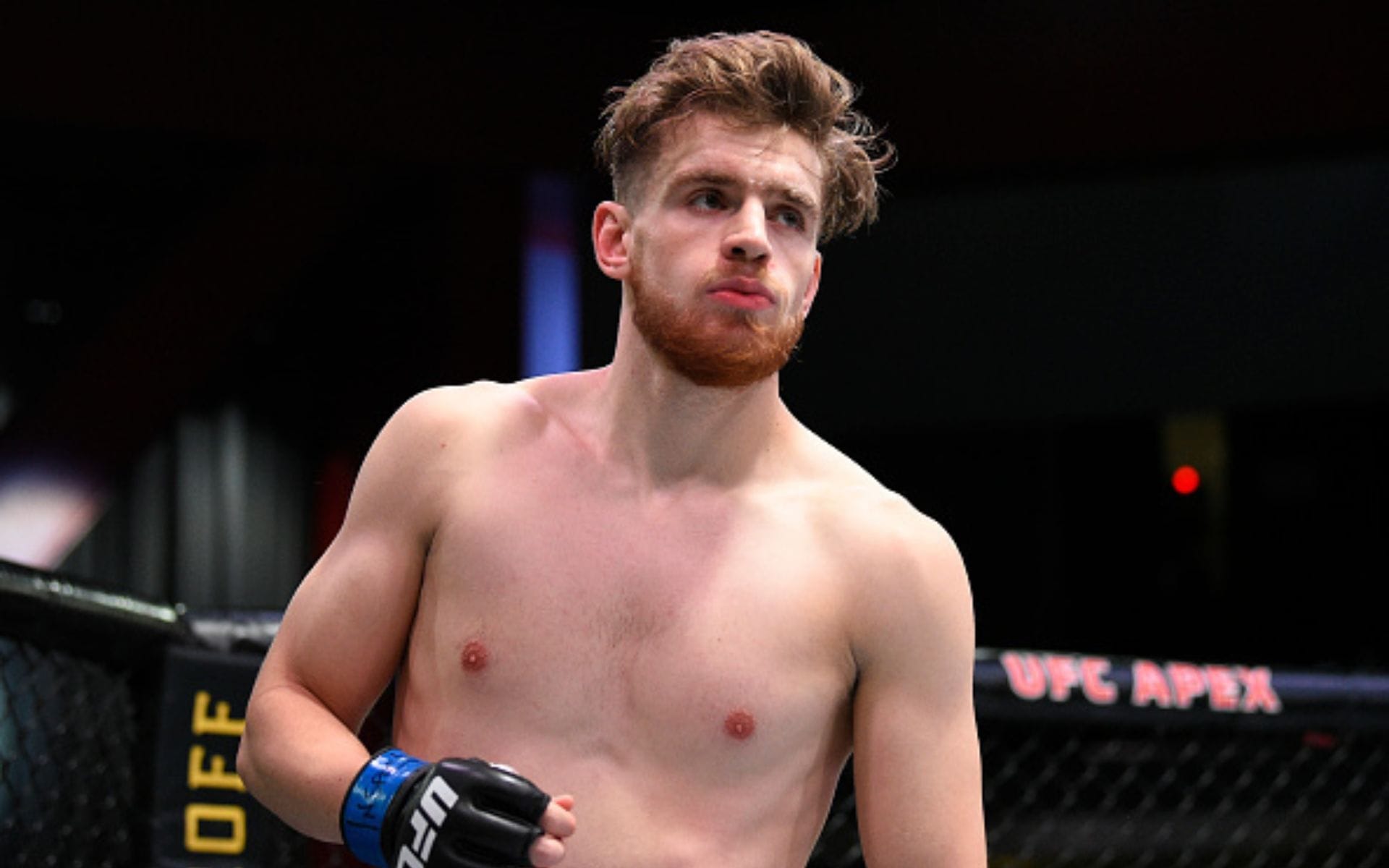 Edmen Shahbazyan UFC: Breaking: Middleweight barnburner featuring Edmen ...