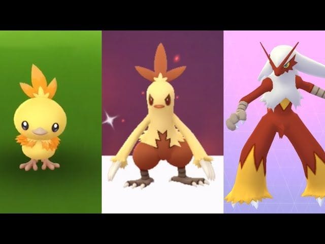 Pokemon GO Combusken raid guide: Best counters, weaknesses, and more
