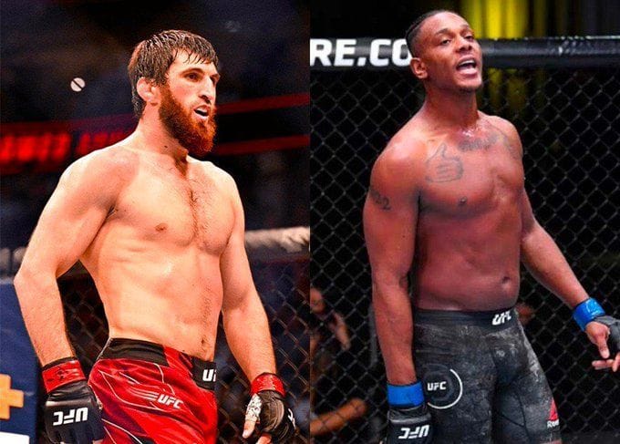 UFC light heavyweight contender claims "chubby" Jamahal Hill's hard ...